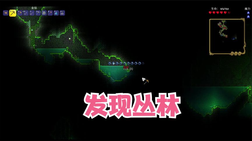 泰拉瑞亚大师多人生存#5 发现丛林