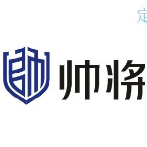 帅将法财税团队 