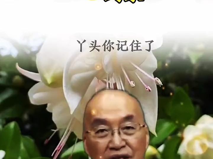 丫头你记住了:五帝钱的妙用