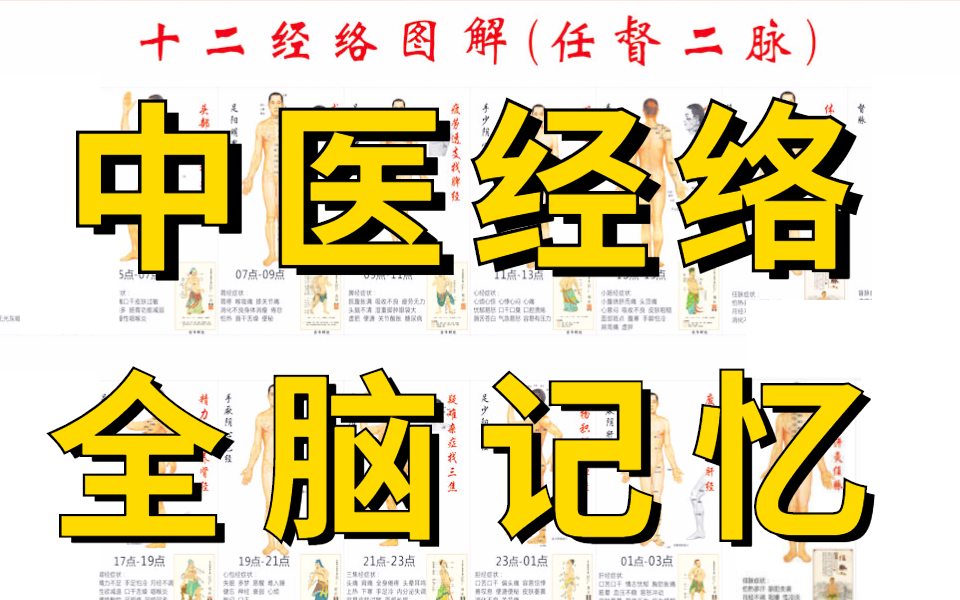 中医经络穴位全脑速记十二正经,奇经八脉,考研必背针灸歌诀,轻松背诵...