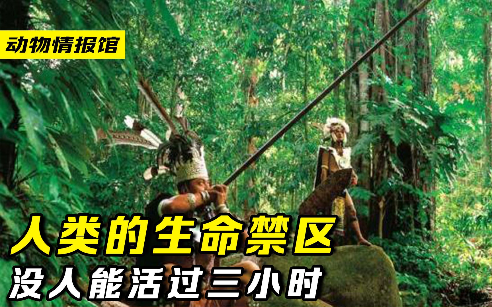亚马逊雨林有多可怕,传说的人类生命禁区,没人能活过三小时!