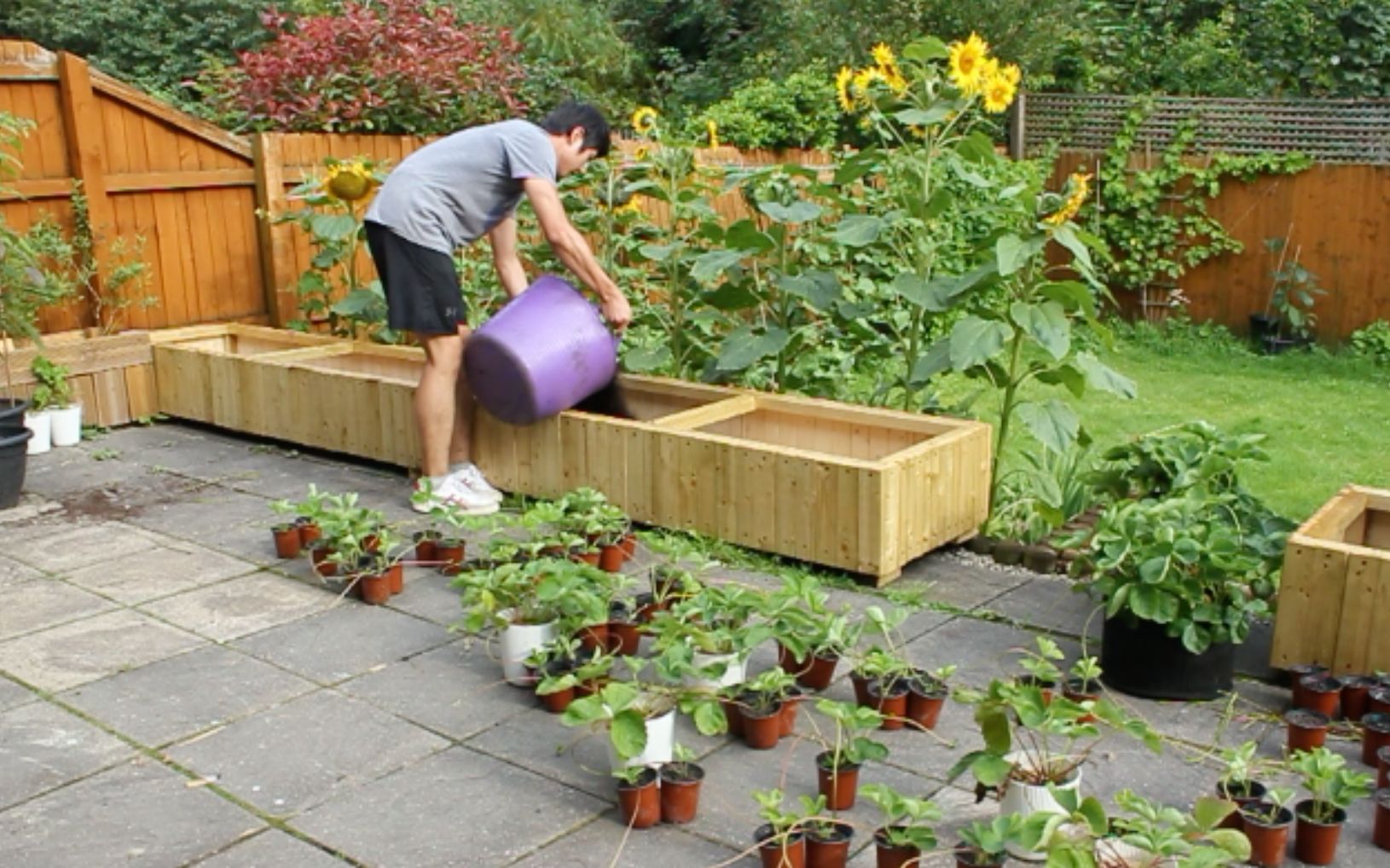 用木头DIY几个种植箱,实现草莓自由