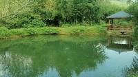 萨克斯独奏 《挡不住的思念》