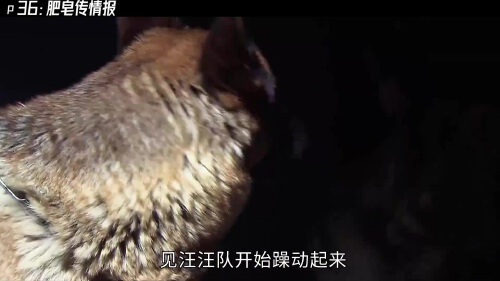 聪明青年巧妙运用策略顺利传递重要信息