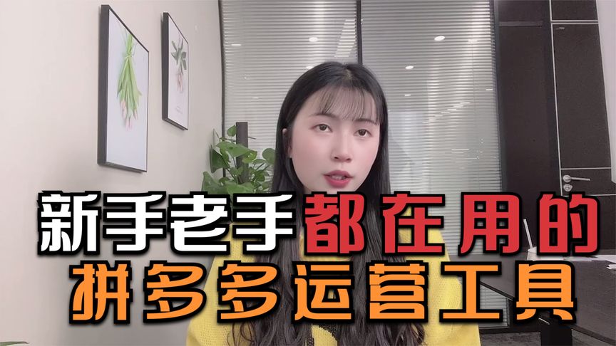 做拼多多必备的看数据神器,轻松查看同行数据,新手老手都在用