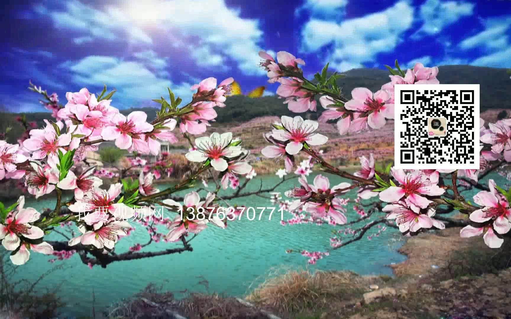 21.教师礼赞LED背景视频教师节诗朗诵背景大屏幕画面我要视频网