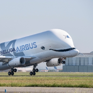 flight24 