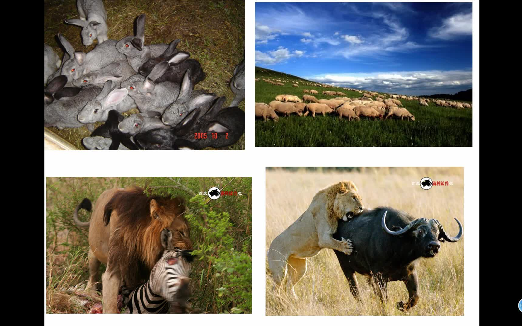 1.2种群数量的变化&1.3影响种群数量变化的因素