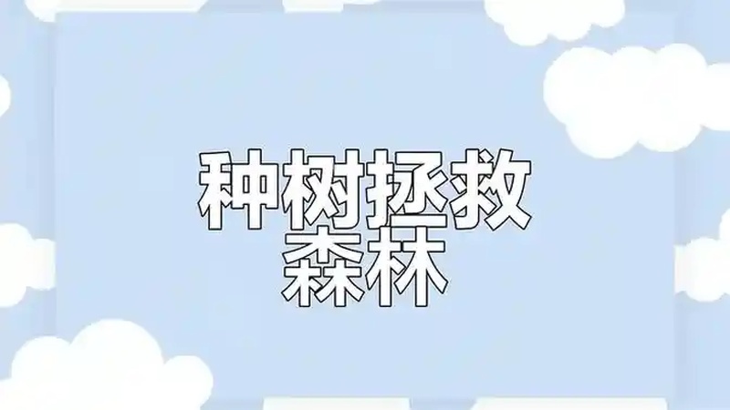 森林被砍伐,我种树恢复生态