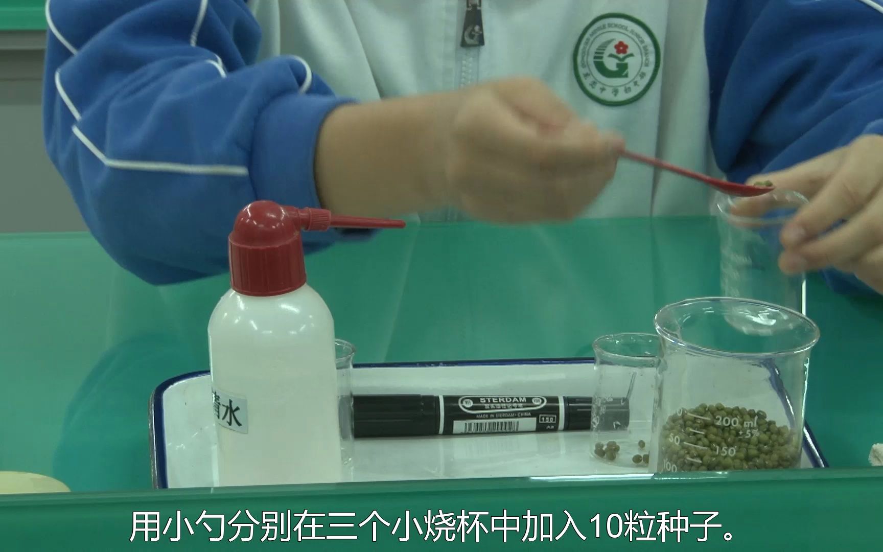 (生物)实验6 探究种子萌发的条件