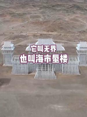 用了6300根纯白色钢管3万多个脚手架扣件搭建而成