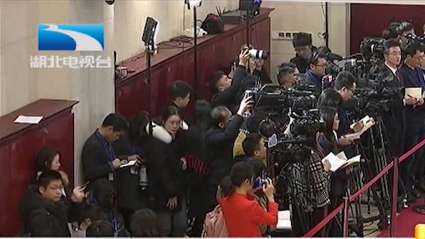 2020湖北两会:省人大首次开启“代表通道”,6名代表亮相