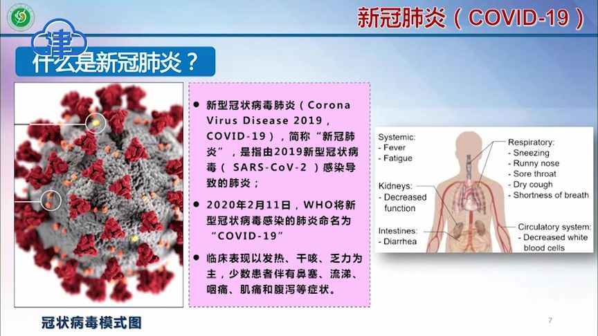 原来“新冠病毒的感染过程”是这样!听张伯礼生动解读,准能明白