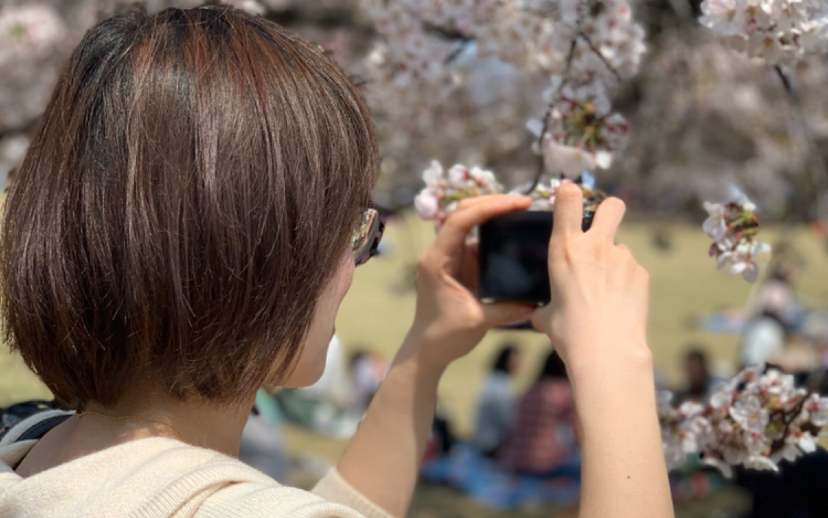 日本的垃圾分类及处理