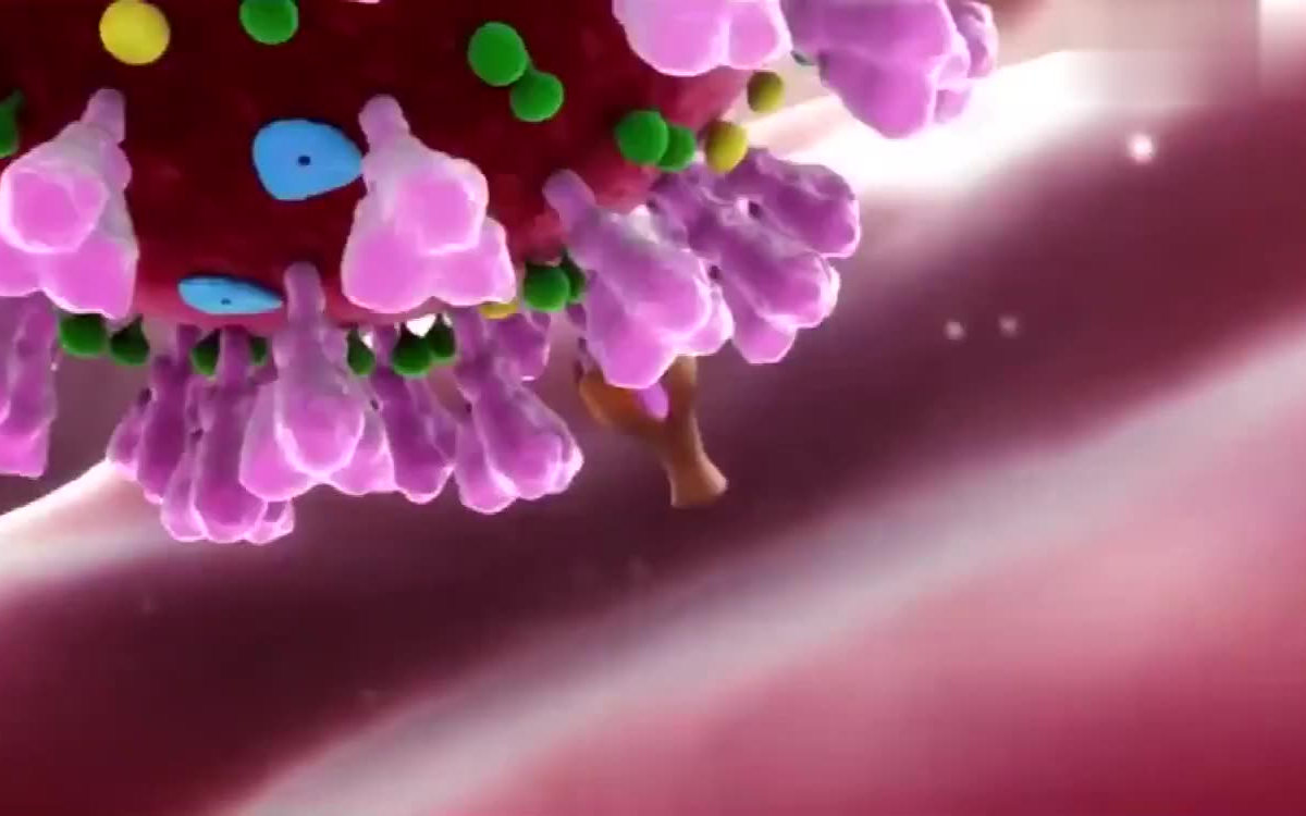 揭秘:一组医学动画告诉你,新型冠状病毒是如何攻击人体的?