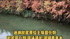 河道治理重庆市万州区河湖黑臭水体治理淤泥原位土壤固化剂处理方法...