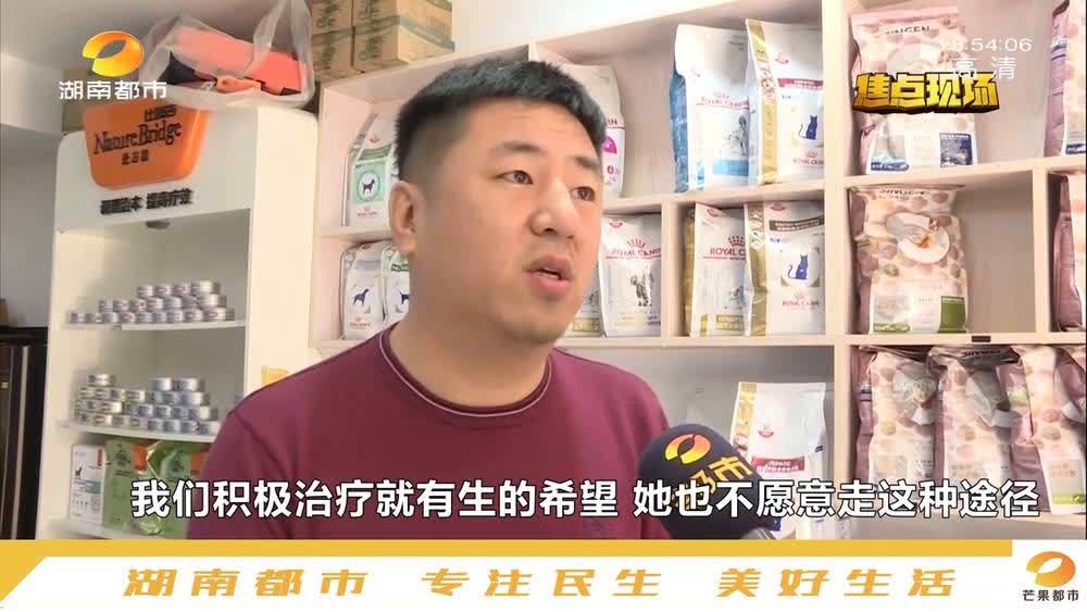 宠物狗感染细小病毒,女子拒绝就医.