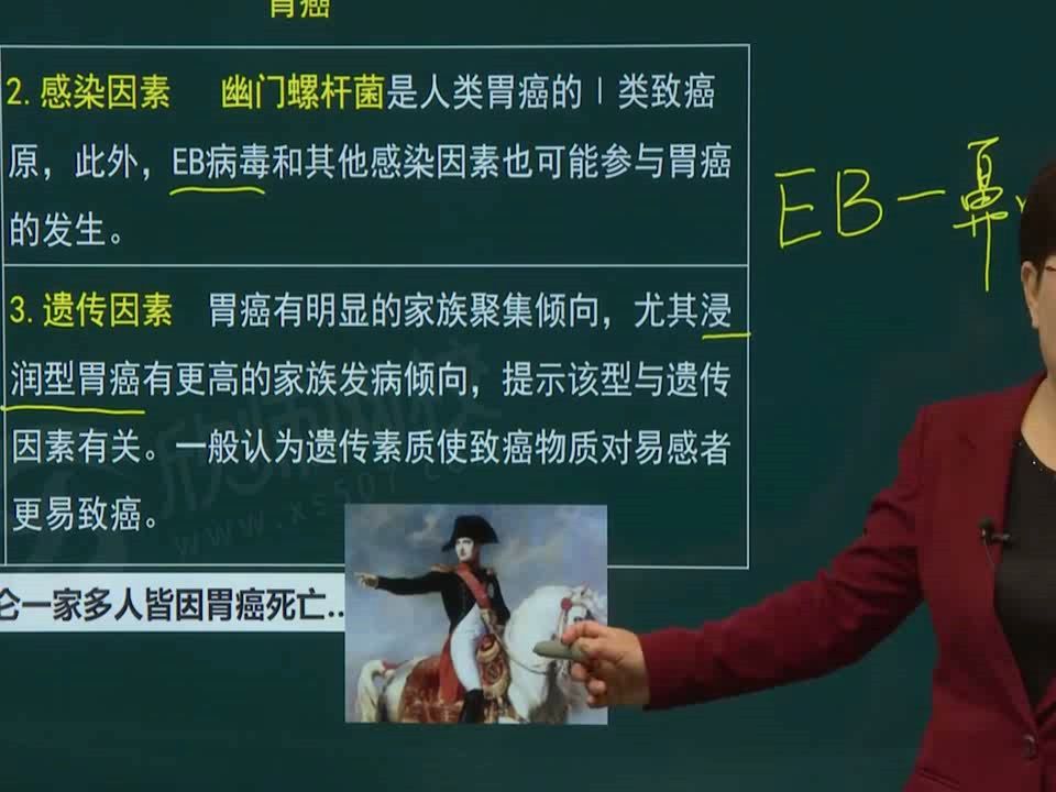 2024护理学副高正高 护理学副主任护师 视频课程全部有
