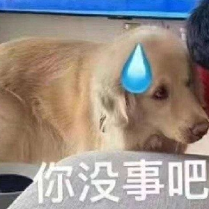 不太聪明的中二饼 