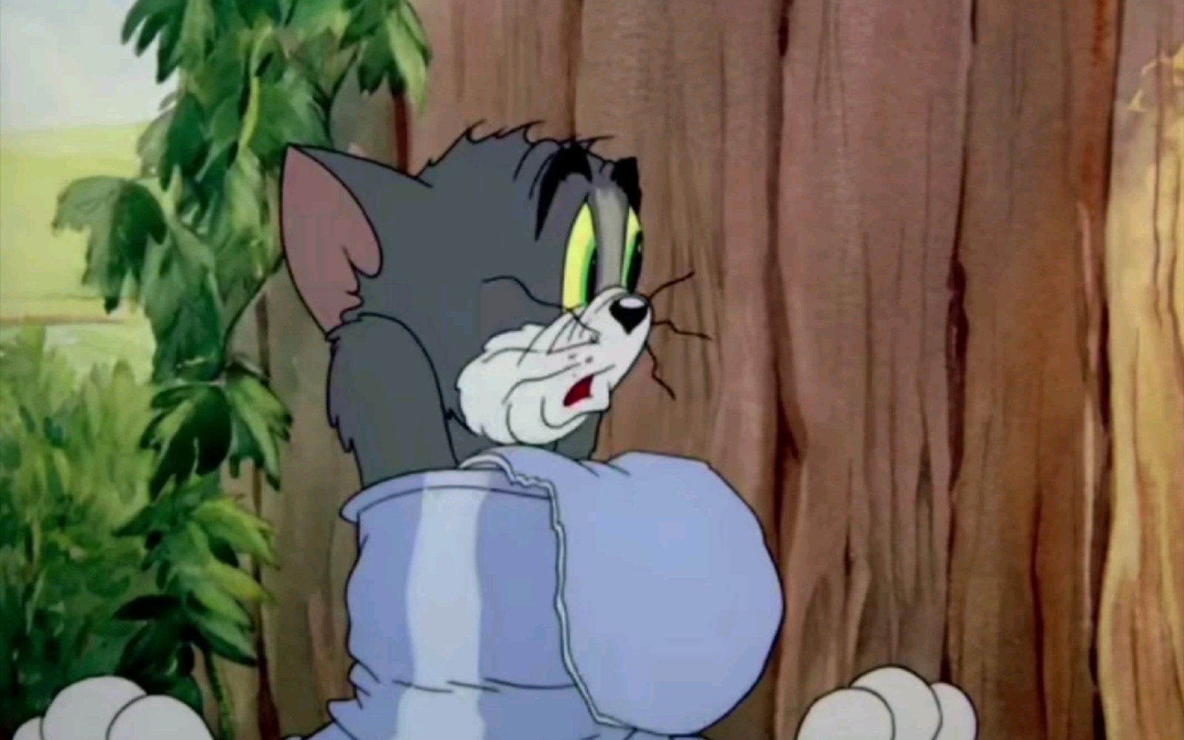 猫和老鼠物以类聚(米高梅动画蓝色片尾曲:1956年2月15日p4)