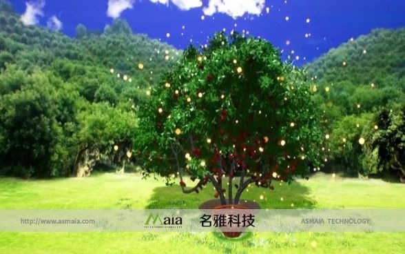 杨梅生长动画