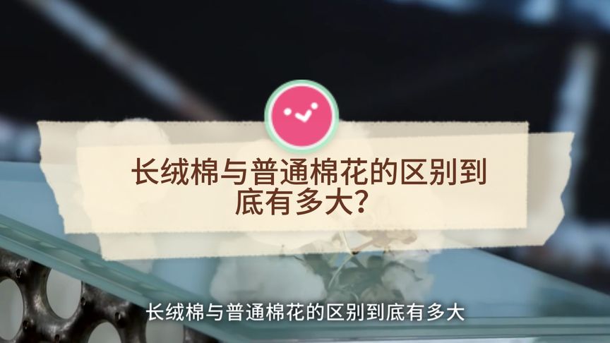 长绒棉与普通棉花的区别到底有多大?