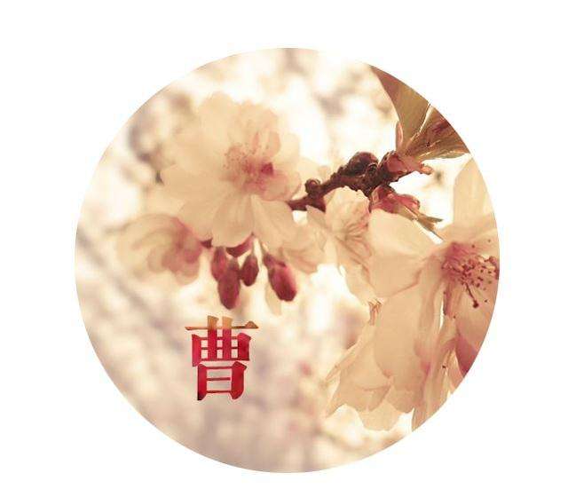 东风谷世玉 