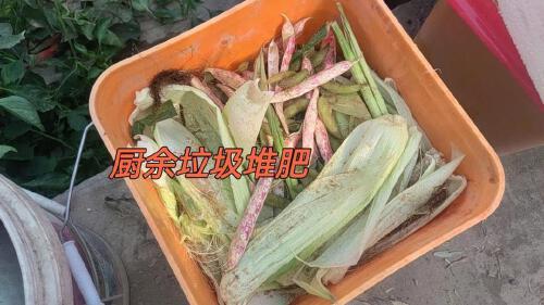 高温堆肥太快了,一天就长出白色菌丝,有效利用厨余垃圾变废为宝