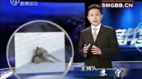 早恋悲剧