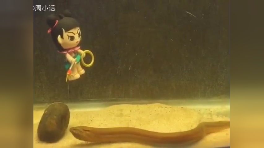 中国动画大片《哪吒闹海》,这特效几毛