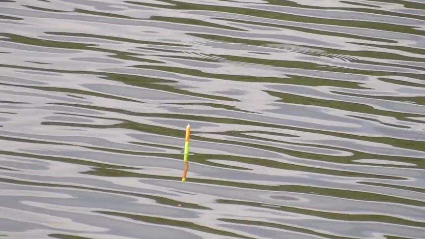 加粗尾浮漂怎么调?其实很简单,看了这个视频全能学会!