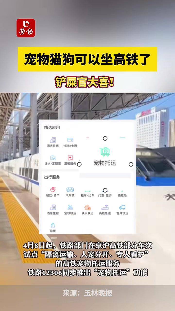 宠物猫狗可以坐高铁了,铲屎官大喜!#宠物出道计划#高铁#铲屎官#萌宠
