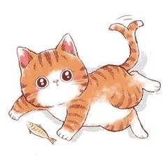 掐住橙喵喵的头 