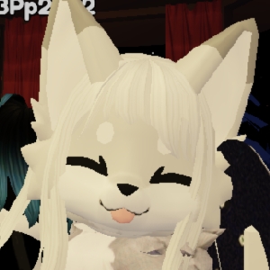 飞电爱玩roblox 