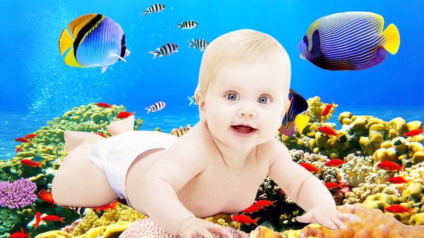 手指谣《海底世界》:通过宝贝喜欢的方式,了解海洋动物的特点