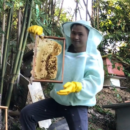 蜜蜂战神Wesley 