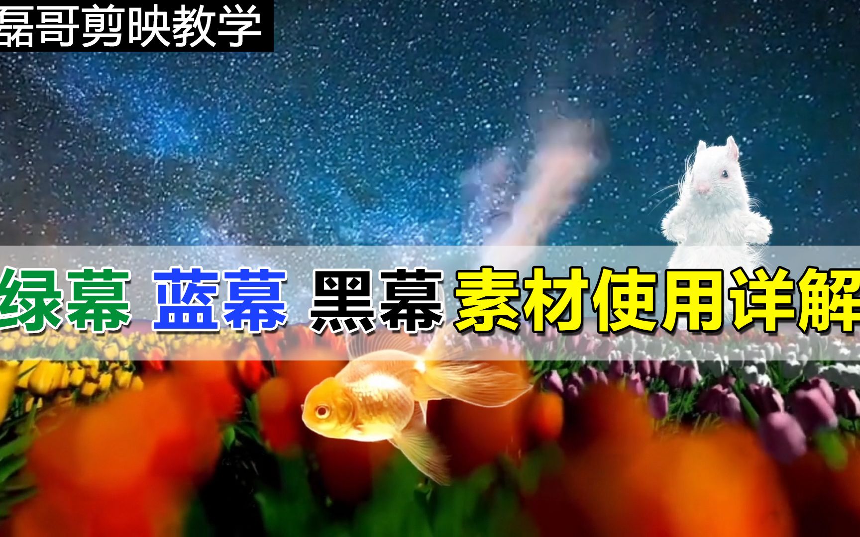 绿幕 蓝幕 黑幕素材使用详解 学好剪映视频剪辑这个知识点很重要