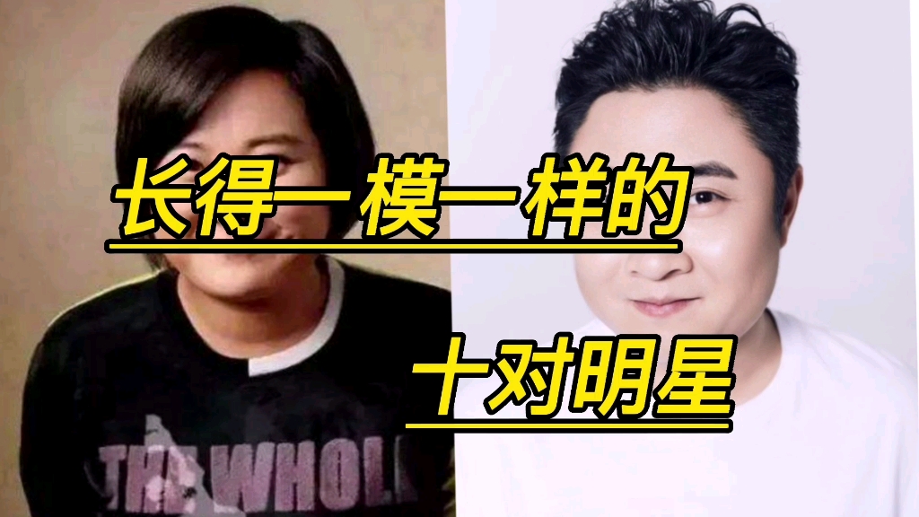 长得一模一样的十位明星