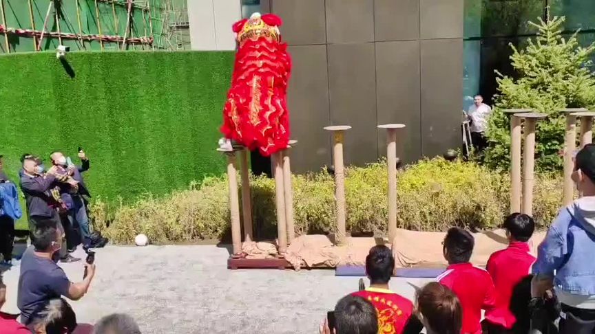#舞狮表演 #舞狮打鼓 #舞狮比赛 舞狮表演高难度动作