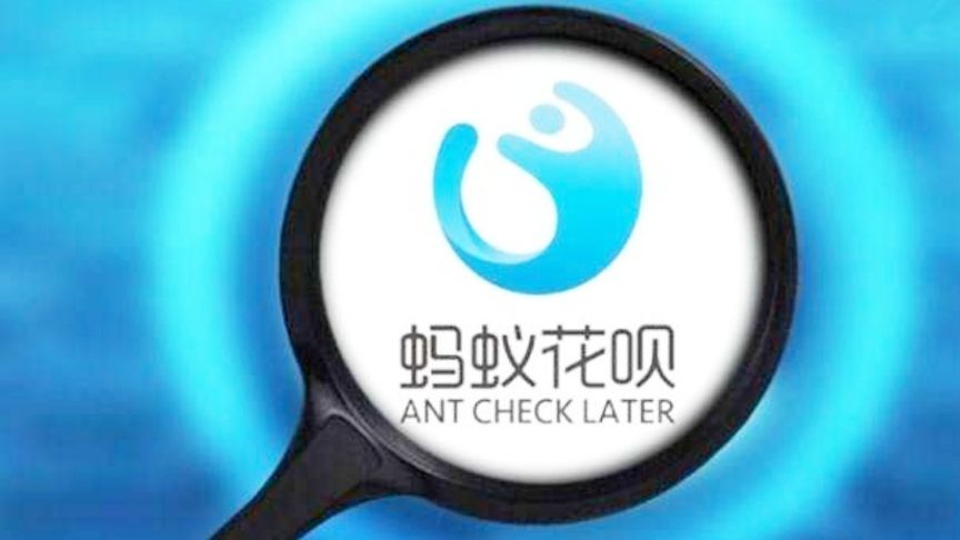 剁手更痛快?支付宝还款日期大调整,网友:发完工资正好还钱