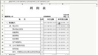 润衡李揭-019年度中间开账利润表取数-财务软件问题解答