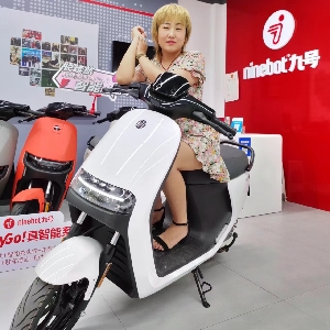 巩义九号田果 