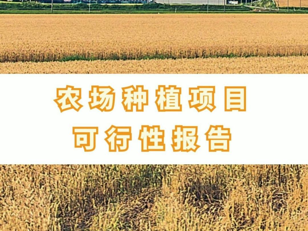 农场种植项目可行性报告