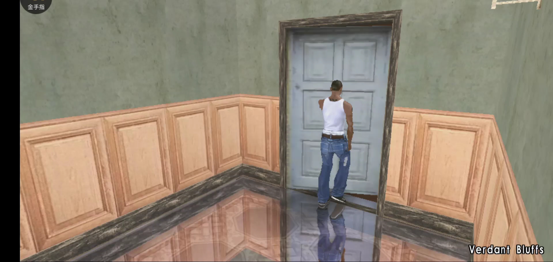 侠盗猎车手圣安地列斯 CV任务:高赌注,低底盘_GTASA