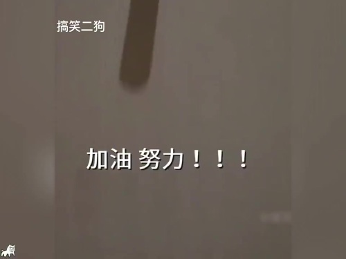 盘点鬼才厕所设计师