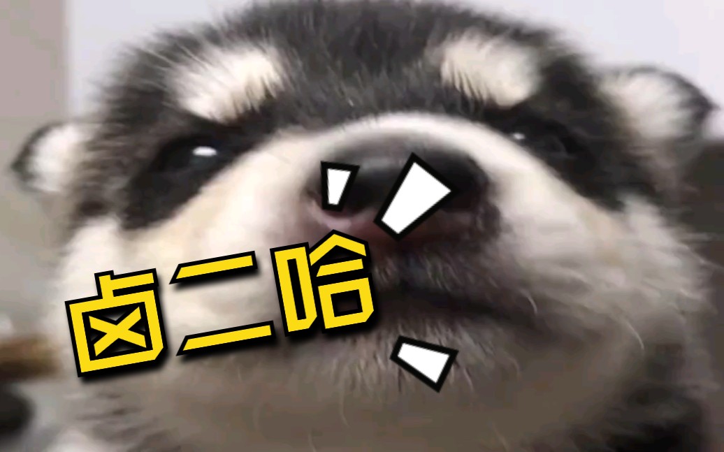 ...一次家,怎么了?可以不爱,但别伤害,多放辣椒,少放香菜,老呐自带碗筷。