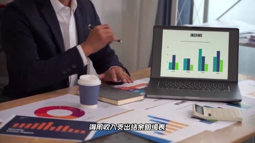 收入支出结余明细表