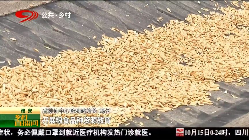 雅安:四川启动世界粮食日宣传活动