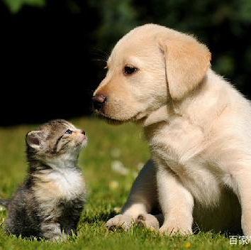 不要让自己的余生后悔 