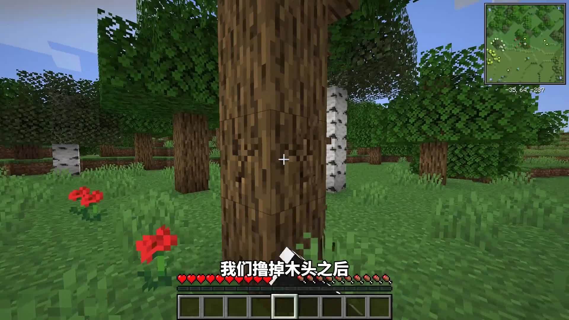 当树木真的能致富!这不是无敌辣- 如果喜欢我的视频记得点赞和关注哦!...